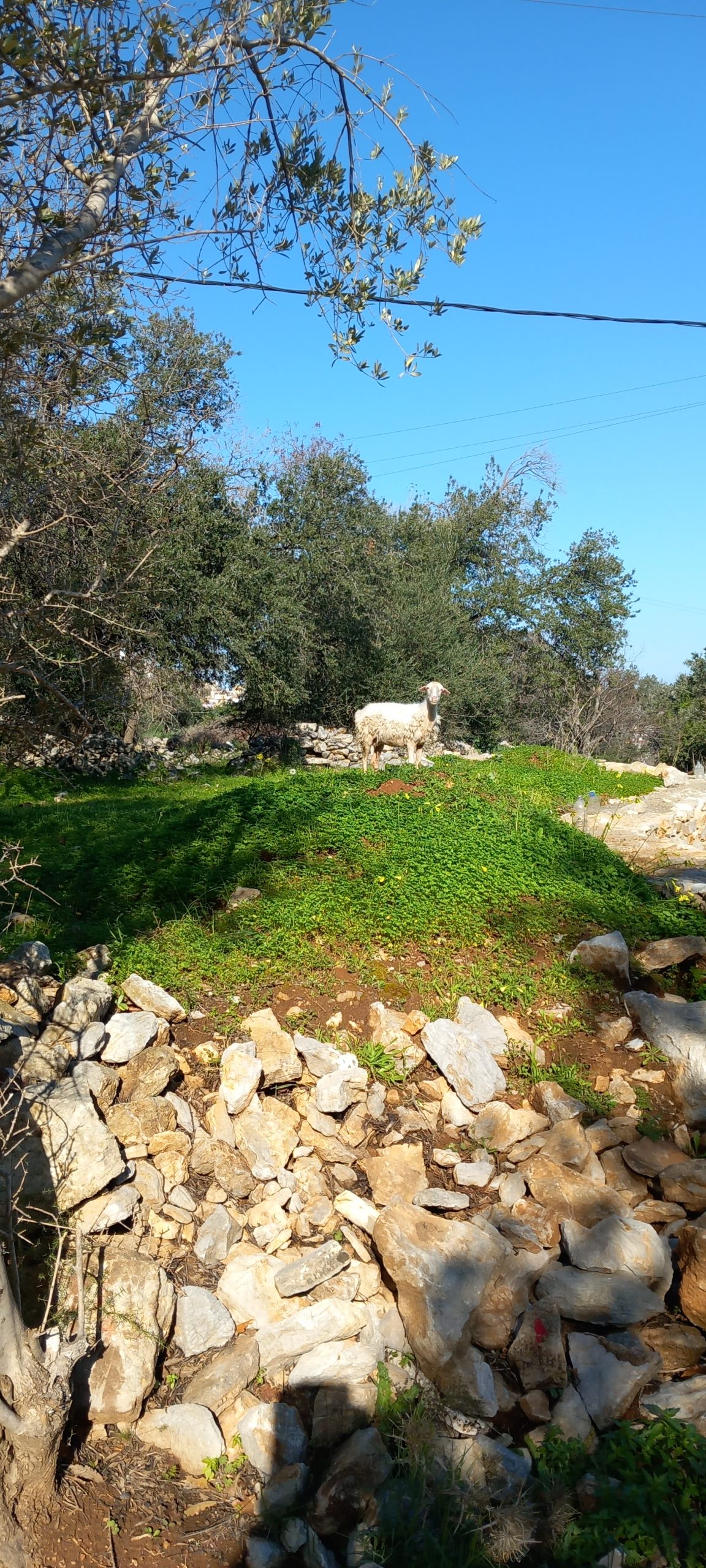 Jackson Marsh Author | MM Romance and Mystery